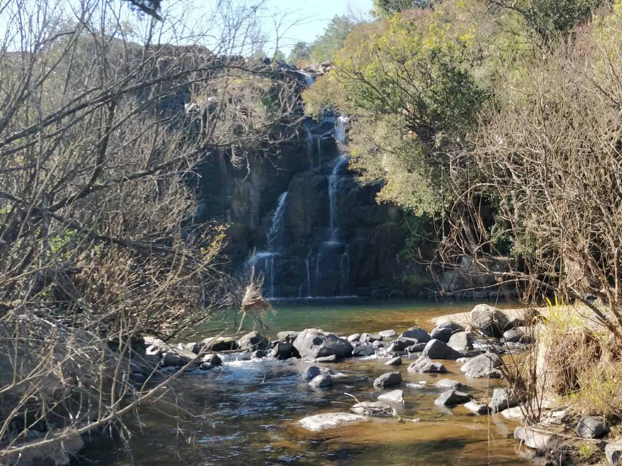Forest Falls Trail Hiking Guide - The Scribs and Nibs