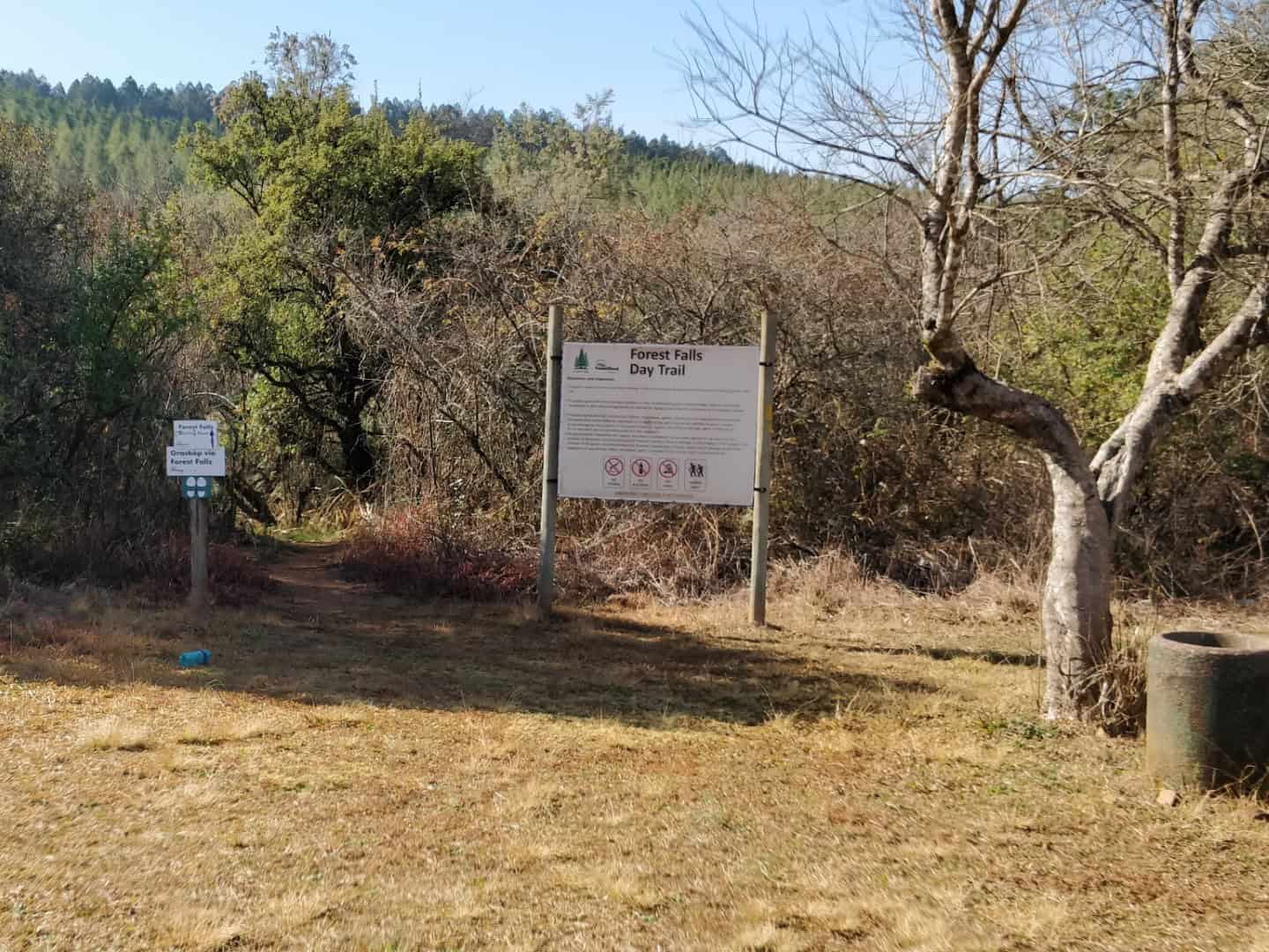 Forest Falls Trail Hiking Guide - The Scribs and Nibs