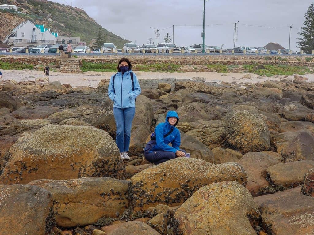 What to do in Mossel Bay - The Scribs and Nibs