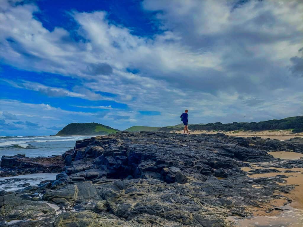 The Wild Coast - The Scribs and Nibs