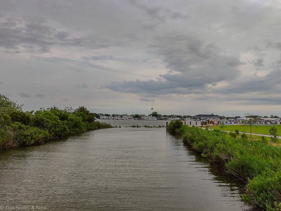 What to do on Kent Island - The Scribs and Nibs