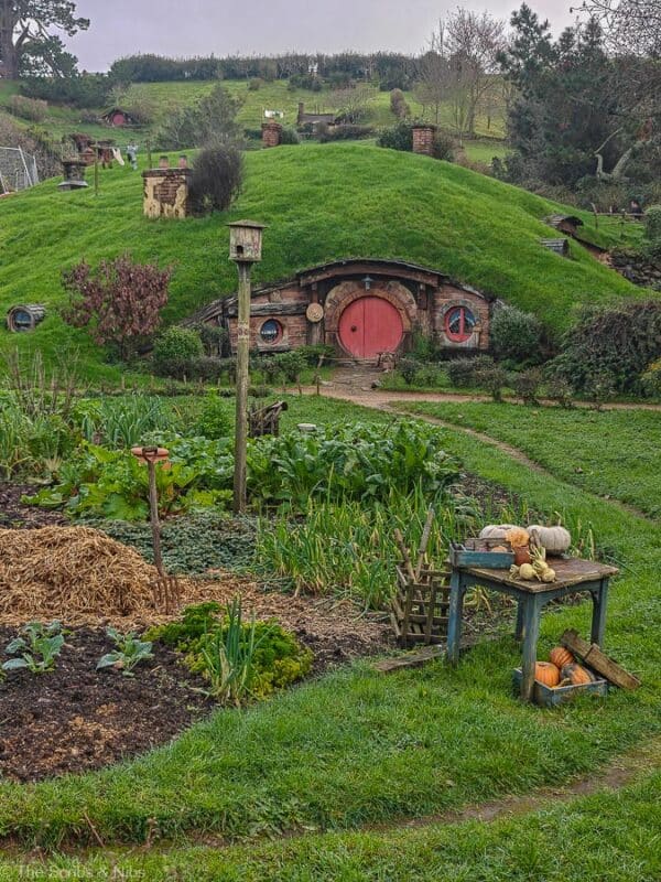 Visit the Hobbiton Movie Set (and Go Inside a Hobbit Hole!) - The ...